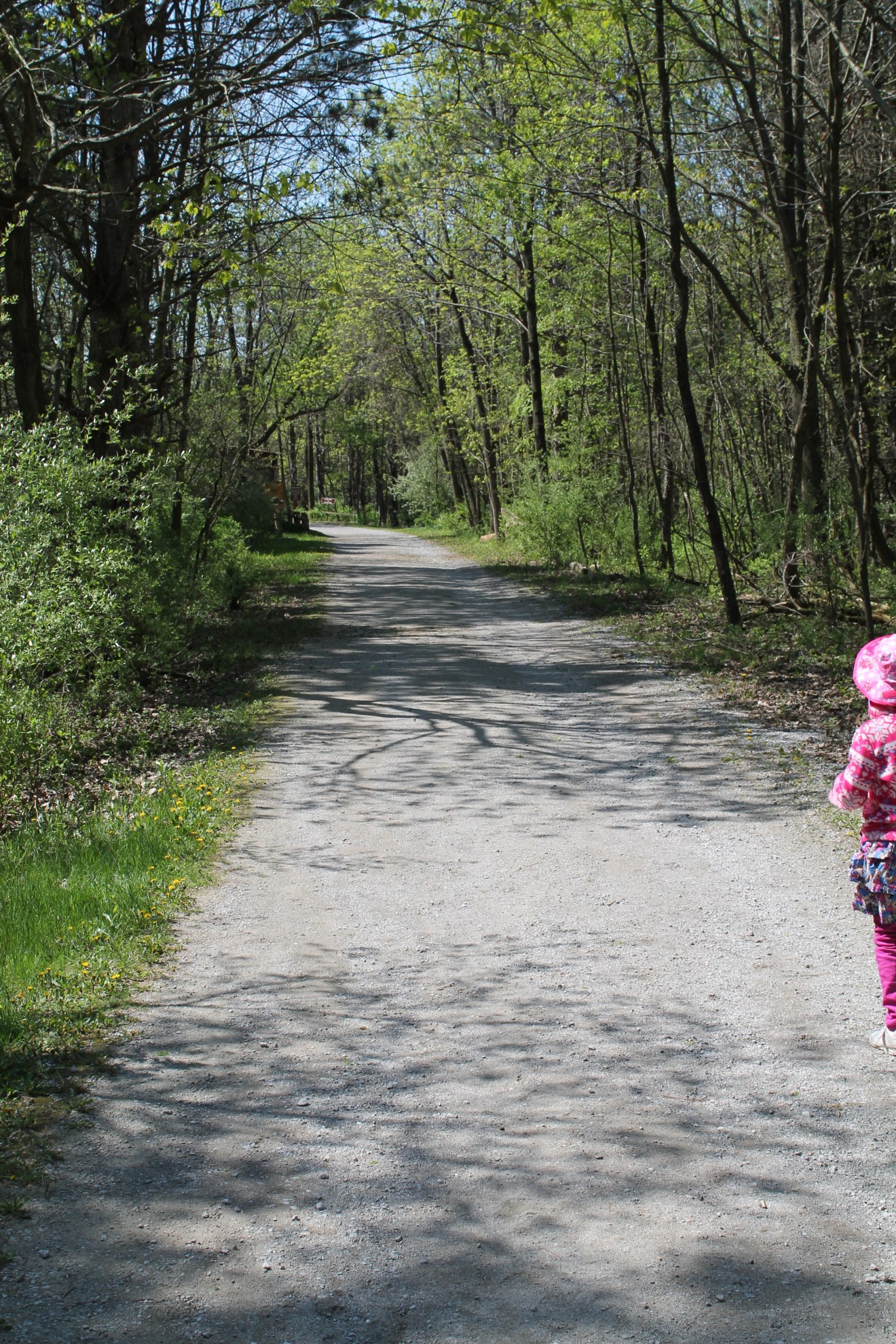 Macbride Nature Recreation Area – Hiking Trails, Raptor Center – Iowa ...