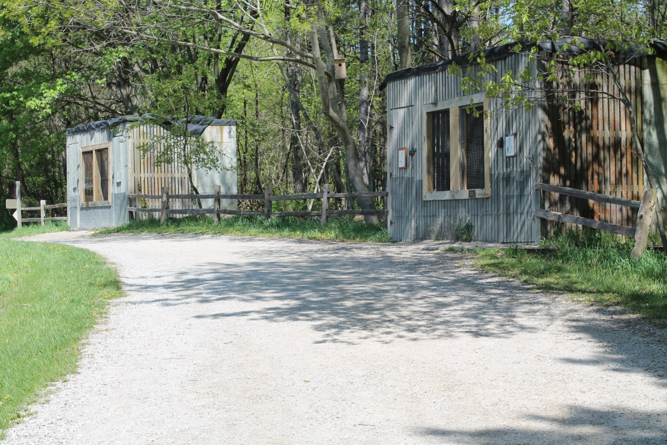 Macbride Nature Recreation Area – Hiking Trails, Raptor Center – Iowa ...